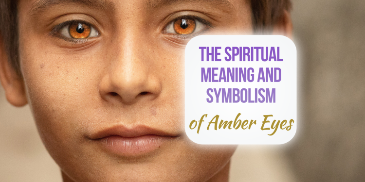 9 Spiritual Meanings of Amber Eyes [Fiery Positivity!] | Simply Symbolism
