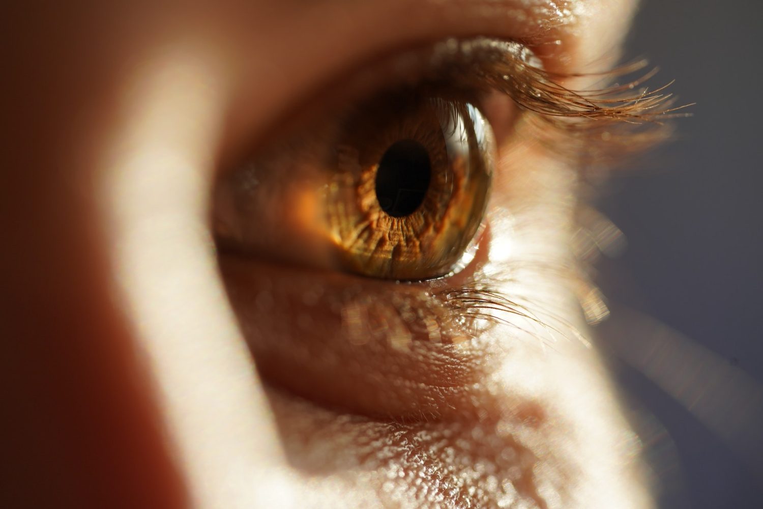 9 Spiritual Meanings of Amber Eyes [Fiery Positivity!] | Simply Symbolism