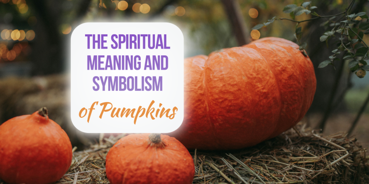 13 Spiritual Meanings Of Pumpkins [Must Read!] | Simply Symbolism